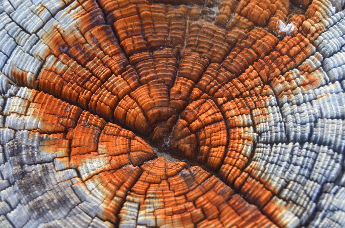 Patterns - Outdoor Stories